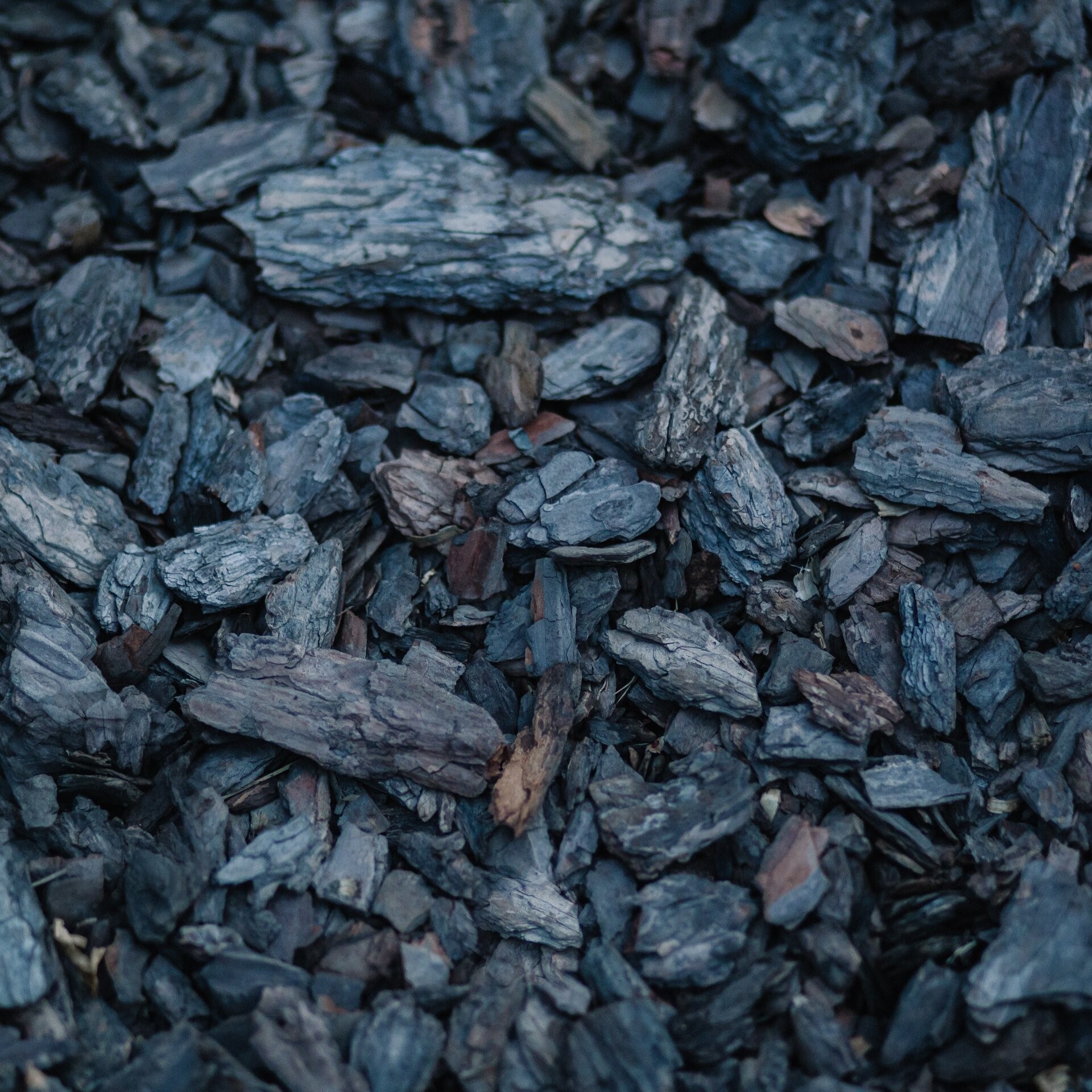 Training Coal Management Analysis Best Practice 0813-8142-1802
