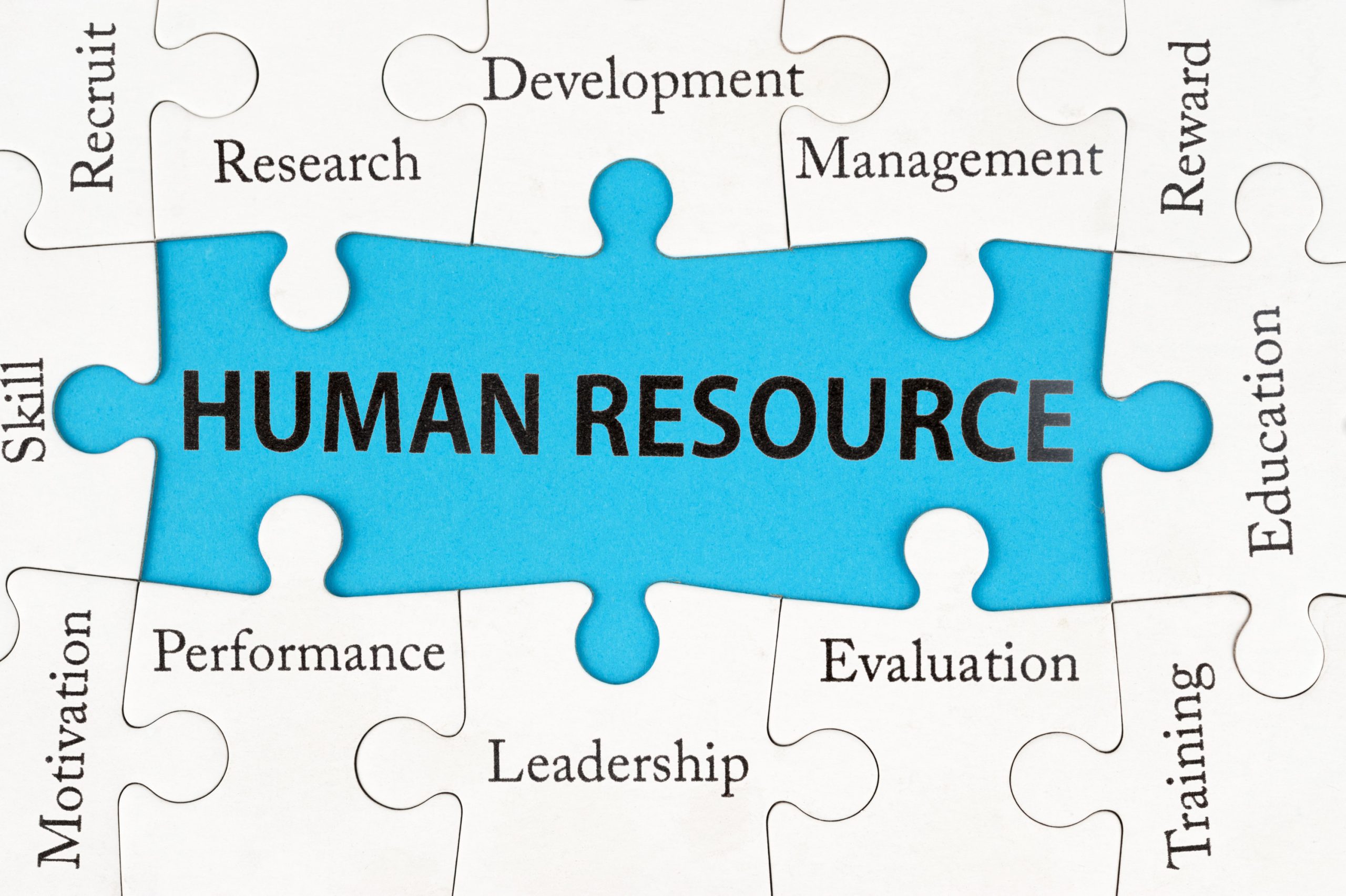 Human Resource Management Development | 0813-8142-1802